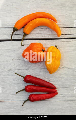 Colourful bell peppers orange Stock Photo - Alamy
