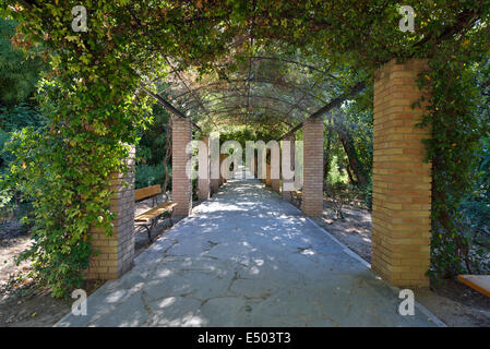 Archway in Athens, Greece Stock Photo - Alamy