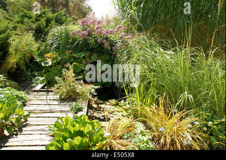 Pond in a garden Stock Photo - Alamy