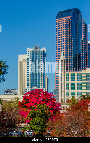charlotte city skyline autumn season Stock Photo - Alamy
