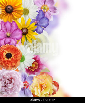 collection of flowers Stock Photo - Alamy
