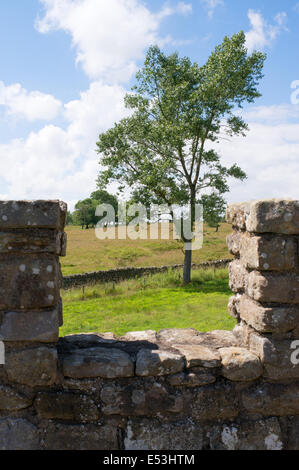 Vindolanda Roman fort, view from the remains of a Roman bath house ...