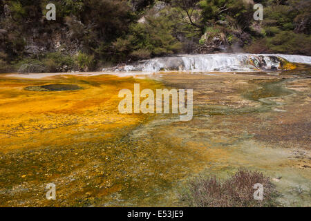 Warbrick Terrace, Waimangu Volcanic Valley, Rotorua, North Island, New ...