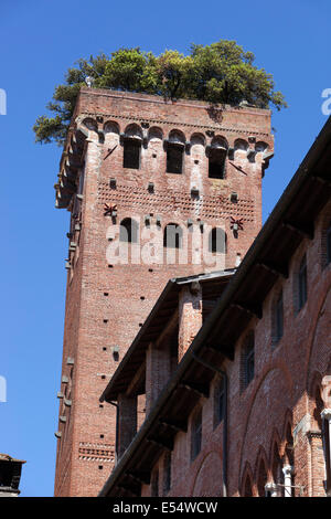 Medieval Guinigi Tower, topped by holm-oak trees, from Via Sant'Andrea ...
