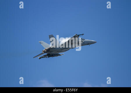 The Boeing F/A-18 E/F Super Hornet, a carrier-capable multirole fighter ...