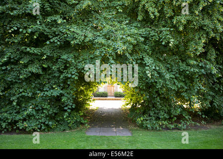 Pathway through a botanical garden in Los Angeles Stock Photo - Alamy