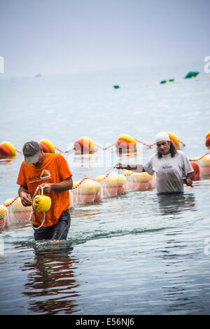 Gibraltar tourism Minister Neil Costa during the launch of ...