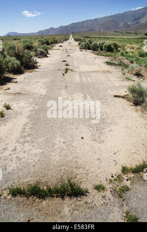 Old asphalt road with cracks Stock Photo - Alamy