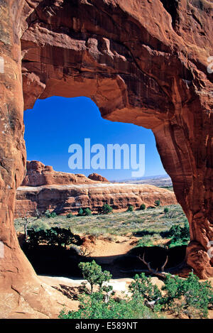 Pine tree arch. Arches National Park, Utah, USA Stock Photo - Alamy