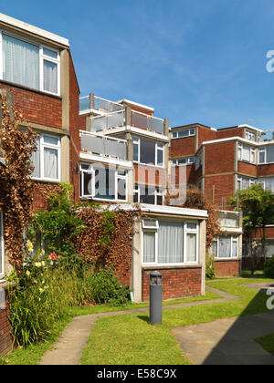 Building exterior part of Octavia Housing, London Stock Photo - Alamy
