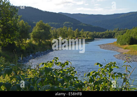 View of the river Beiarelva near Beiarn, Norway , Aug. 12, 2013 Stock ...