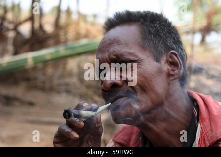 Beedies, indian cigarettes Stock Photo - Alamy