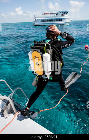 Giant stride entry into water Stock Photo - Alamy