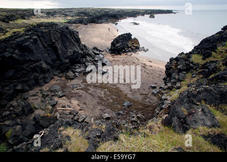 West Iceland, Snaefellsnes Peninsula, Skardsvik Beach, Golden Beach ...