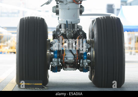 Rear landing gear of Boeing 787 wide-body airplane Stock Photo - Alamy