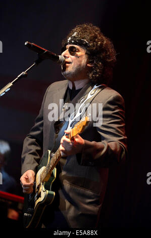 Andres Calamaro performs during his Bohemio-Tour on July 23, 2014 at La ...