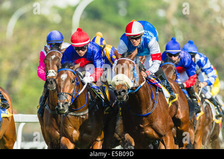Horse racing jockeys closeup running action photo Stock Photo - Alamy