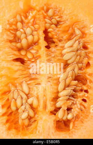 Abstract close up of cantaloupe melon texture,Close up fresh sweet ...