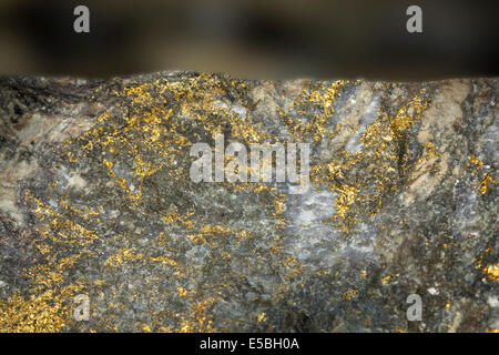Native gold deposit in quartz Stock Photo - Alamy