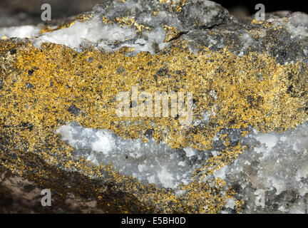 Native gold deposit in quartz Stock Photo - Alamy