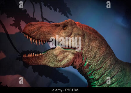 Recostruction of Tyrannosaurus rex, Upper Cretacic, Usa, London Natural ...