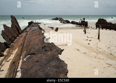Bulwer Wrecks, Moreton Island Stock Photo - Alamy