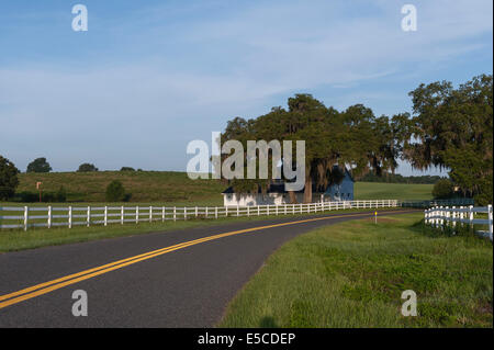 Ocala Florida USA Countryside Farmland Landscape Stock Photo - Alamy