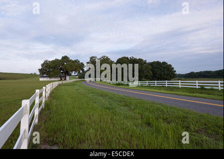 Ocala Florida USA Countryside Farmland Landscape Stock Photo - Alamy
