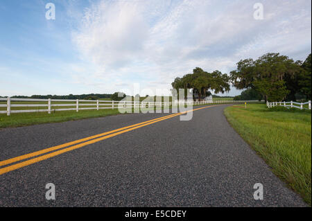 Ocala Florida USA Countryside Farmland Landscape Stock Photo: 72188785 ...
