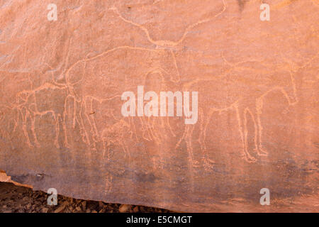 Neolithic rock art, Bubaline or Bubalus period, rock engraving of a ...