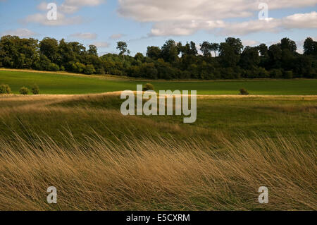 Prehistoric burial mounds, Seven Barrows, Seorfon Barrows, West Overton ...