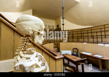 A 19th Century operating theatre with student viewing gallery. The Old ...