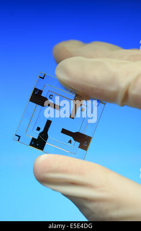 Darmstadt, Germany. 25th June, 2014. The photos released by ...