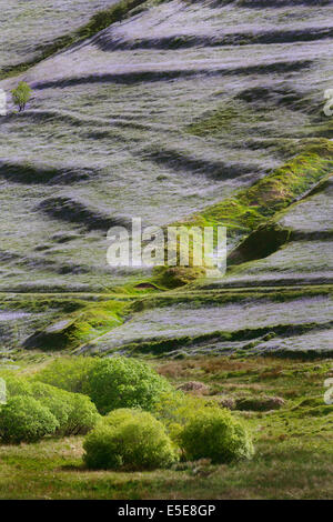 medieval field system on Dartmoor Stock Photo - Alamy