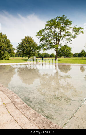 A park full with green trees in front of Imperial Palace, Tokyo, Japan ...
