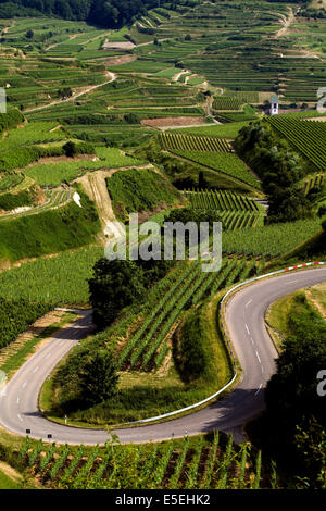 View of the vineyards and Oberbergen, Vogtsburg, Kaiserstuhl range ...