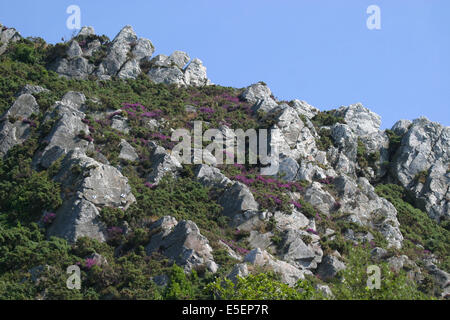 France, Manche, Cherbourg, Fort du Roule, musee de la Liberation ...