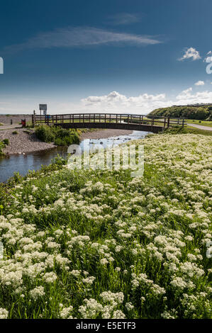 River Dulas at Llanddulas on the North Wales coast Stock Photo - Alamy