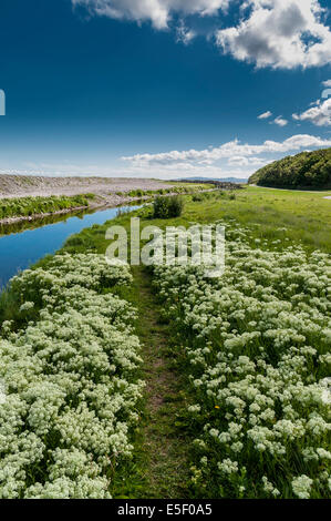 River Dulas at Llanddulas on the North Wales coast Stock Photo - Alamy