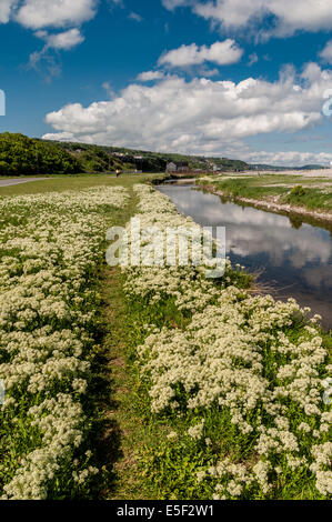 River Dulas at Llanddulas on the North Wales coast Stock Photo - Alamy