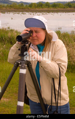 Birding, Fern Ridge Wildlife Area, Oregon Stock Photo - Alamy