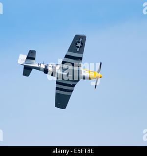 A 1944 Mustang Fighter flying at Sunderland 2014 Stock Photo - Alamy