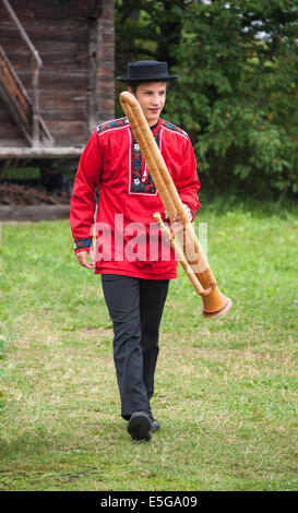 Alphorn alpenhorn traditional musical instrument of Switzerland Stock ...