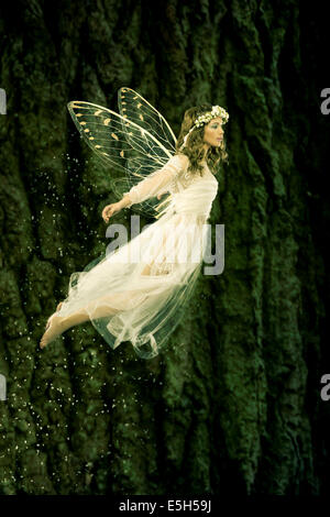 Beautiful fairy dreamy magic white beige creamy roses flowers on faded ...