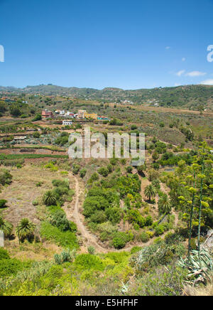 Barranco of Santa Brigida, Gran Canaria, Canary Islands, Spain Stock ...