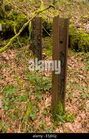 Metal rails as Anti tank obstacles and military fortified protection ...
