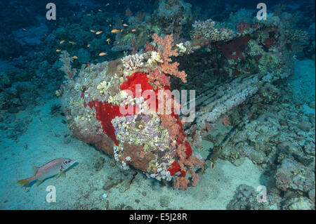 Remains of Précontinent II, Conshelf II in the Red Sea off Sudan Stock ...