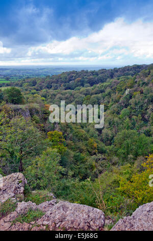 Looking down into Ebbor Gorge, Mendip Hills, Somerset, England, UK ...