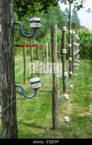 Wire of Death / Dodendraad, electric fence to control the Dutch-Belgian ...