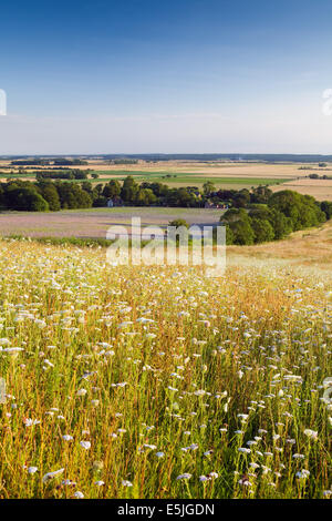 The countryside of North Lincolnshire near the village of Bonby, with ...